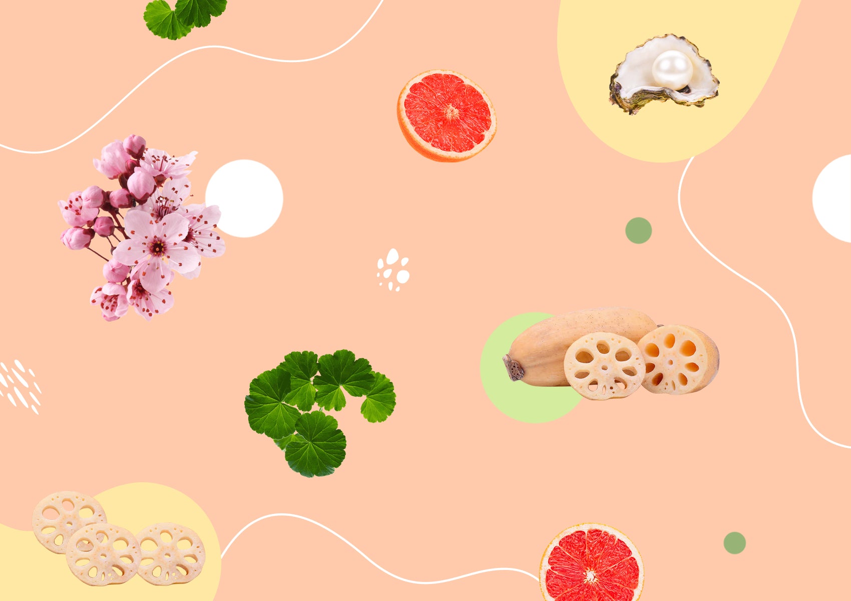 Discover Quench Skin – Quench Botanics